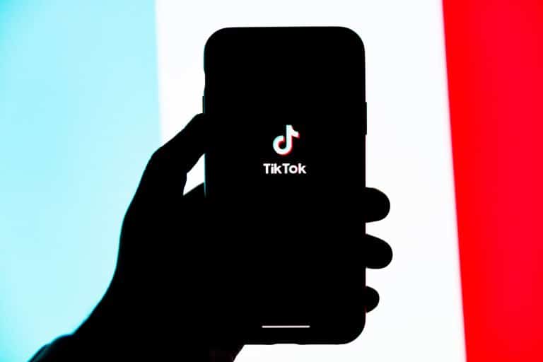 TikTok Counter - TikTok Live Follower Count in Realtime - WP 301 Redirects
