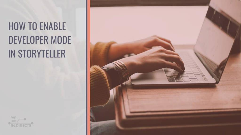 How To Enable Developer Mode In Storyteller - WP 301 Redirects